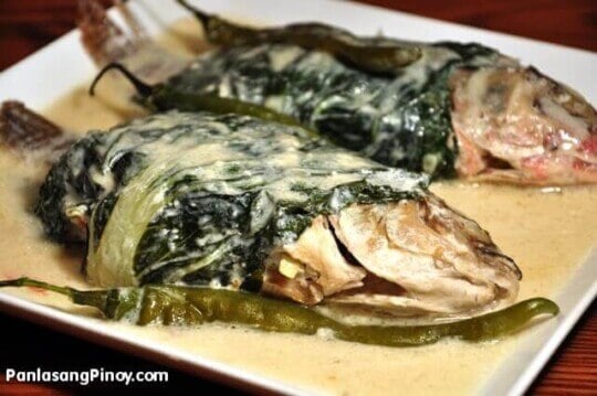 Top 10 Favorite Tilapia Recipes