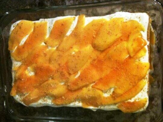 Shared Recipe. Jean's Graham Mango Float