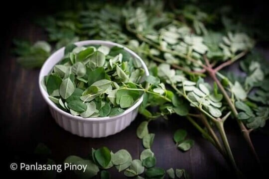 Moringa (Malunggay) - Panlasang Pinoy