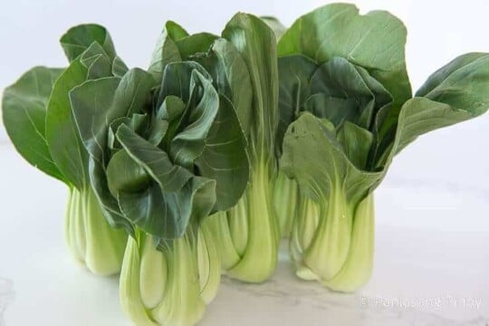 What is Bok Choy? - Panlasang Pinoy