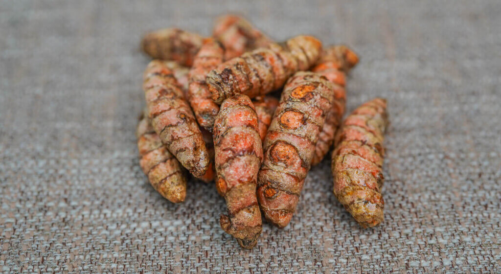 Turmeric - Panlasang Pinoy