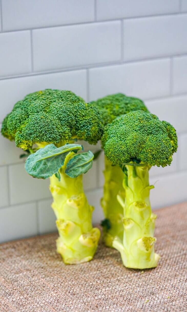 What is Broccoli? - Panlasang Pinoy